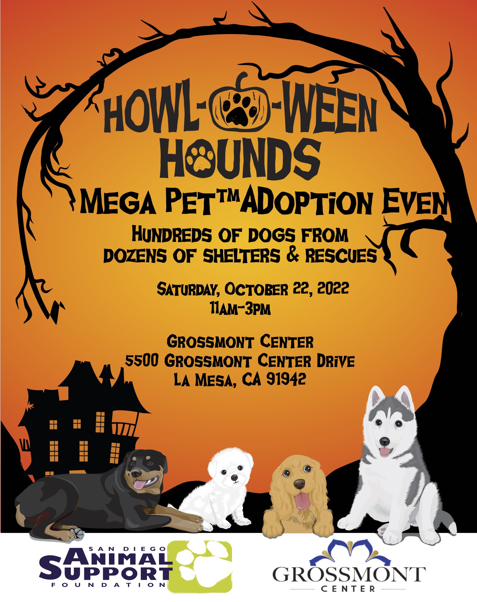 MEGA ADOPTION EVENT Friends Of Humane Services Tijuana